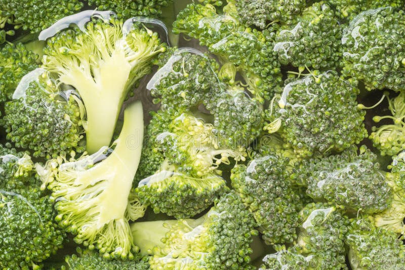 Vegetable. Broccoli slice. stock photo. Image of lifestyle - 70164056