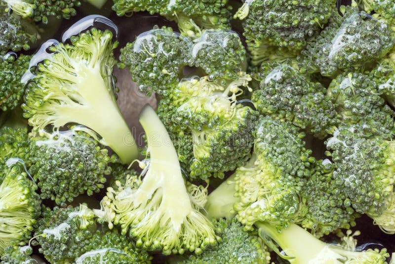 Vegetable. Broccoli slice. stock photo. Image of prepare - 71168010