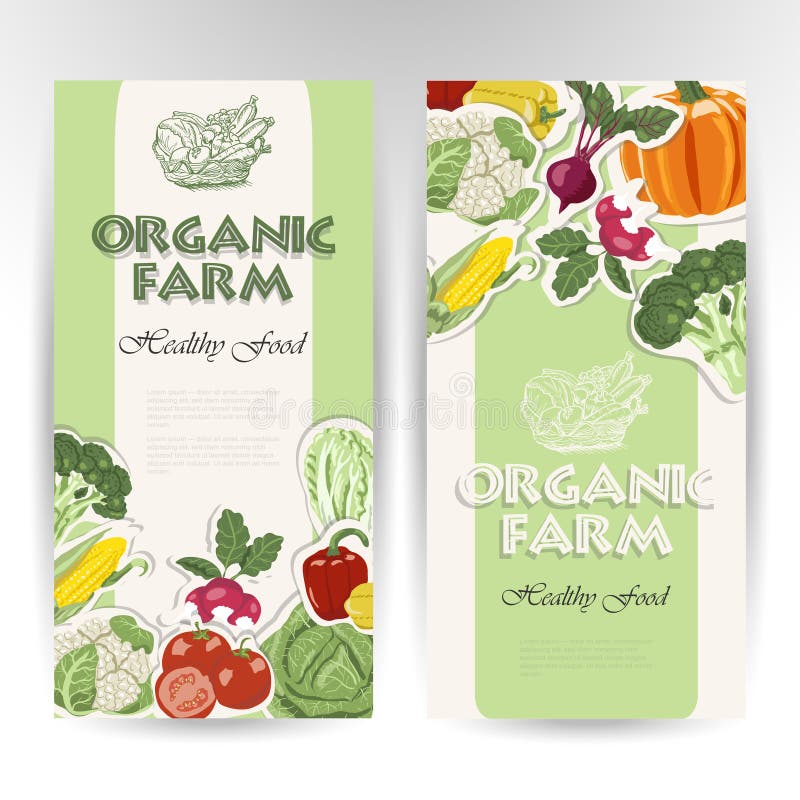 Vegetable card template. stock illustration. Illustration of fresh ...