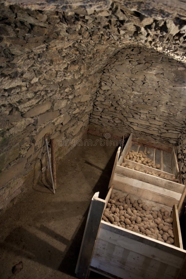 Vegetable cellar stock image. Image of house, wall, vegetable - 17202407