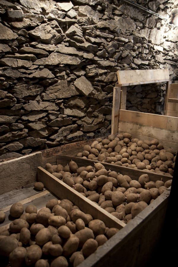 Vegetable cellar stock image. Image of house, potatoes - 17202951