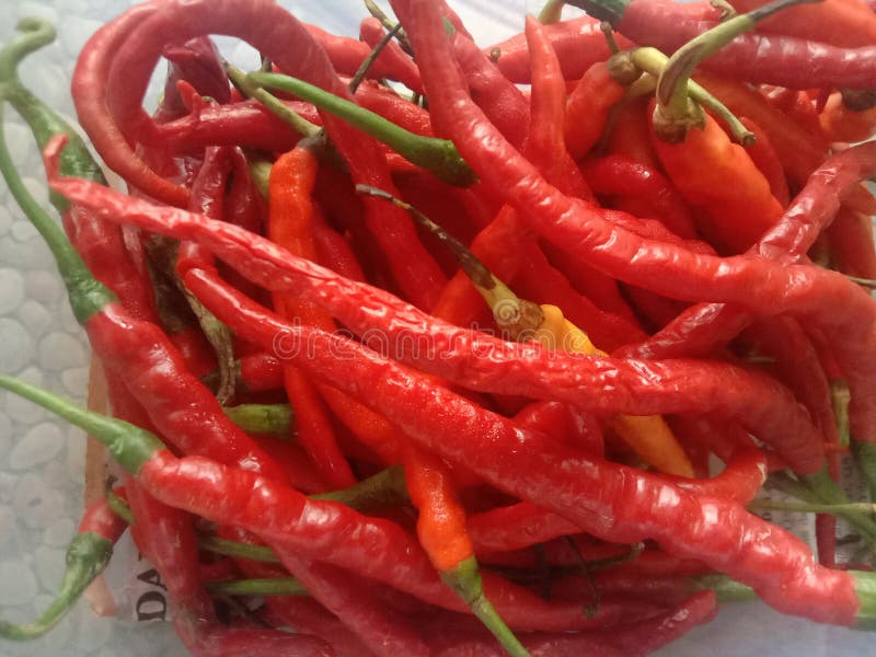 Vegetable chili food stock photo. Image of vegetable - 275215054