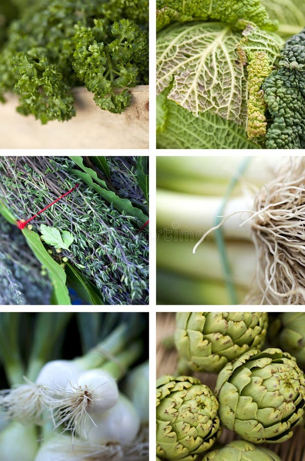 Vegetable on a collage stock photo. Image of cuisine - 351700770