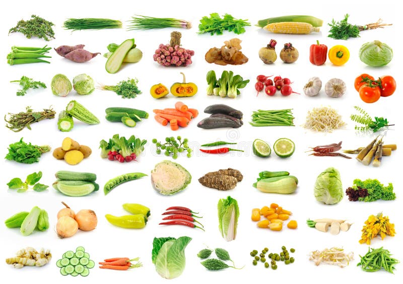 Huge vegetable collection stock photo. Image of cook, ingredient - 4571070