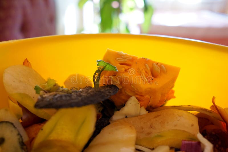 Vegetable compost close-up stock photo. Image of eats - 163601880