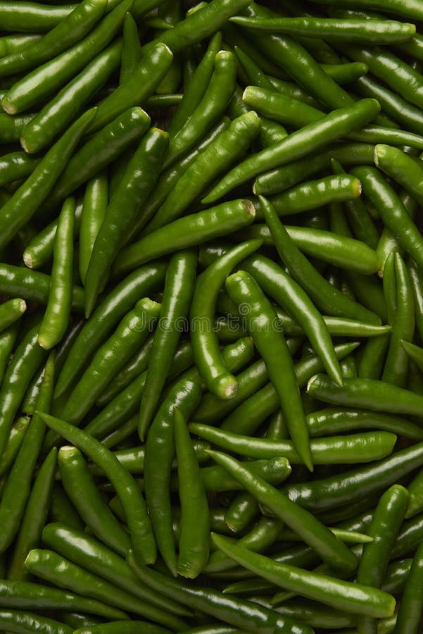 Vegetable Concept the Thousands of Spicy Shiny Thin Long Chilis with ...