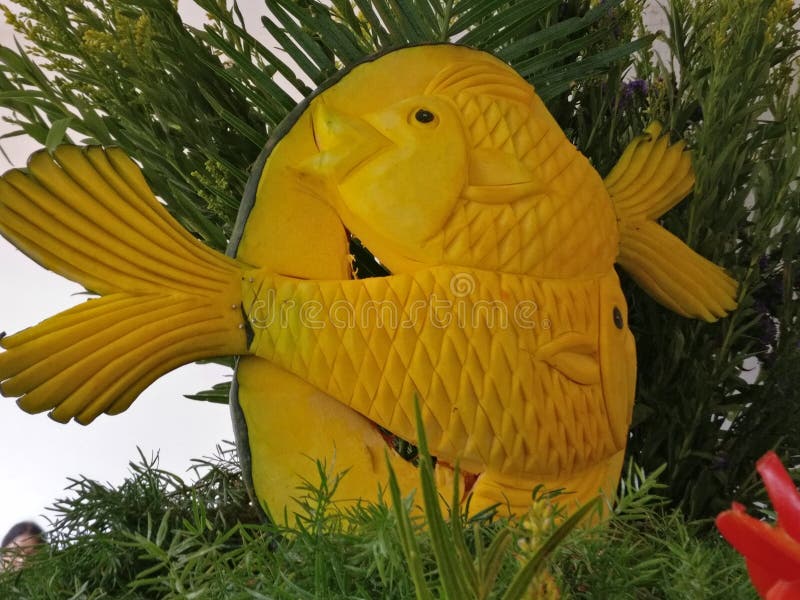 Fish craving stock photo. Image of vegetable, craving - 103641522