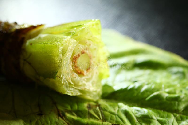 Vegetable stock image. Image of plant, root, vegetable - 110113245