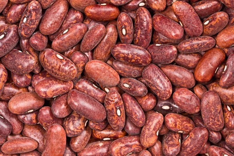 Vegetable, Crude, Background Haricot Bean Stock Photo - Image of dining ...