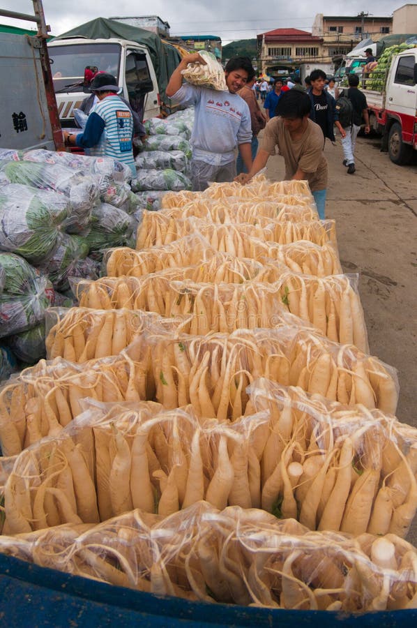 Vegetable Dealers editorial photo. Image of benguet, trinidad - 21635416