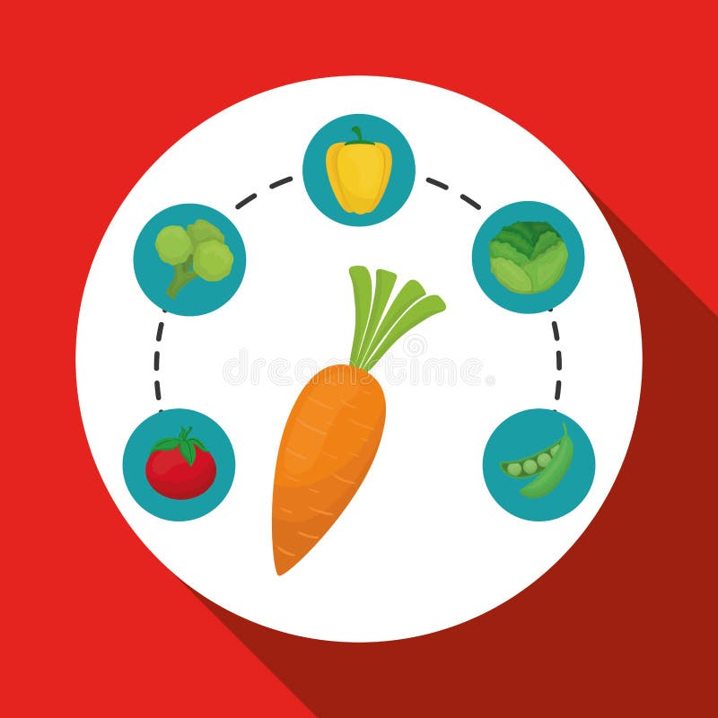 Vegetable Design Over White Background, Vector Illustration Stock ...