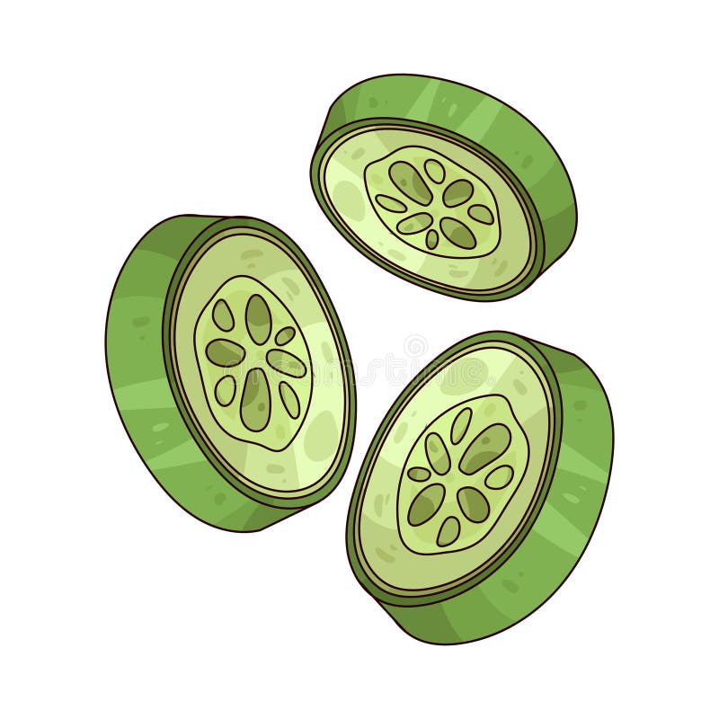 Crisp Cucumber Rounds Stock Illustrations – 1 Crisp Cucumber Rounds ...