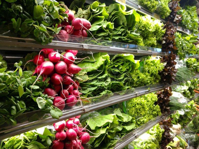 Vegetable stock photo. Image of amount, prepared, leafy - 232562224