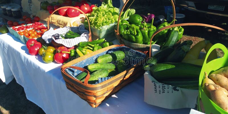 Vegetable Display stock image. Image of vitamin, arrange - 17426827
