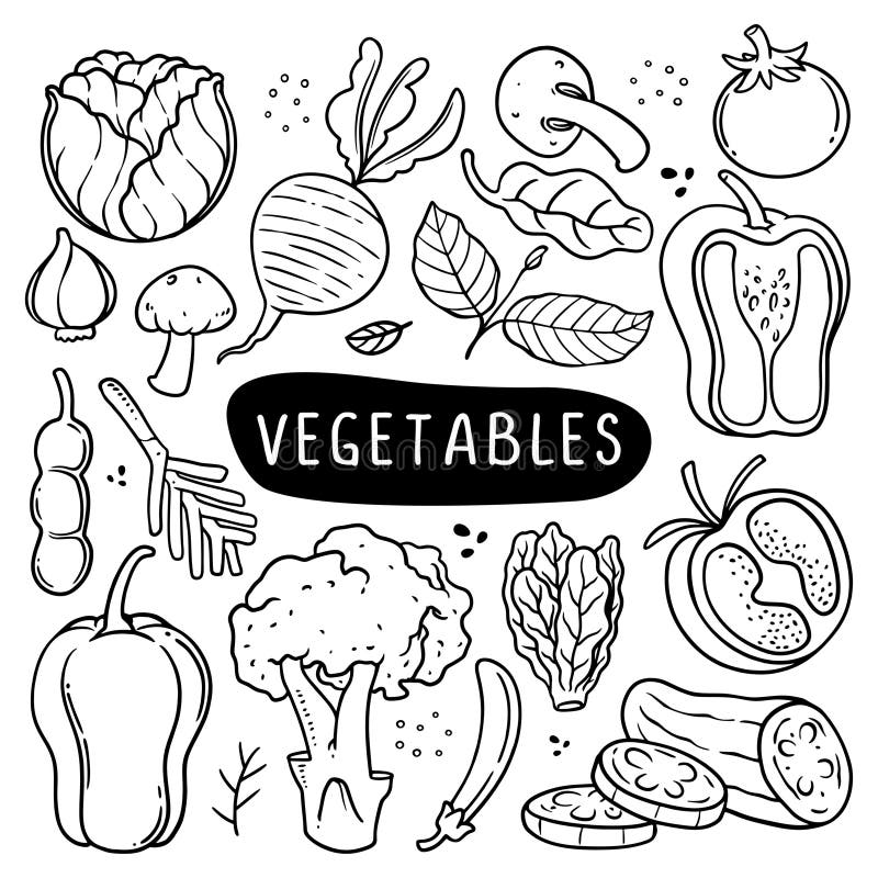 Vegetable Doodle Drawing Set. a Diverse Assortment of Vegetables Hand ...