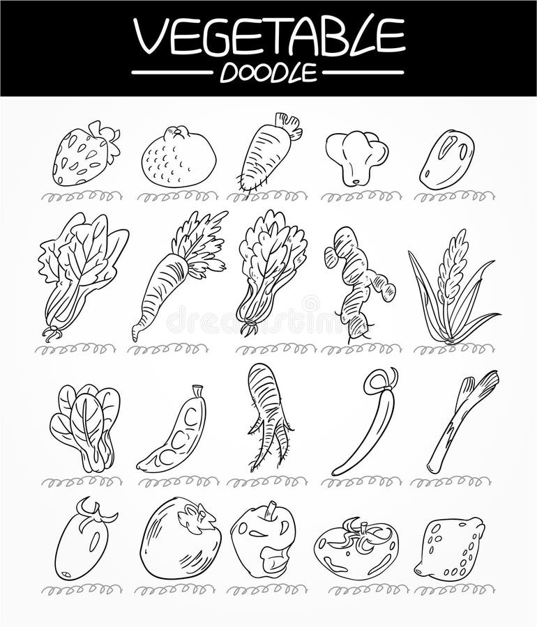 Vegetable doodle icon set stock vector. Illustration of ginseng - 20284942
