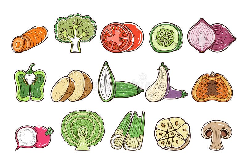 Vegetable Element Hand-drawn Vector Illustration Set Stock Vector ...