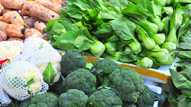 Vegetable fair stock photo. Image of colorful, pakchoi - 21601096