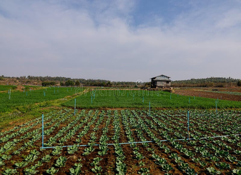 Rural Scenery in Shan State, Myanmar Stock Photo - Image of culture ...