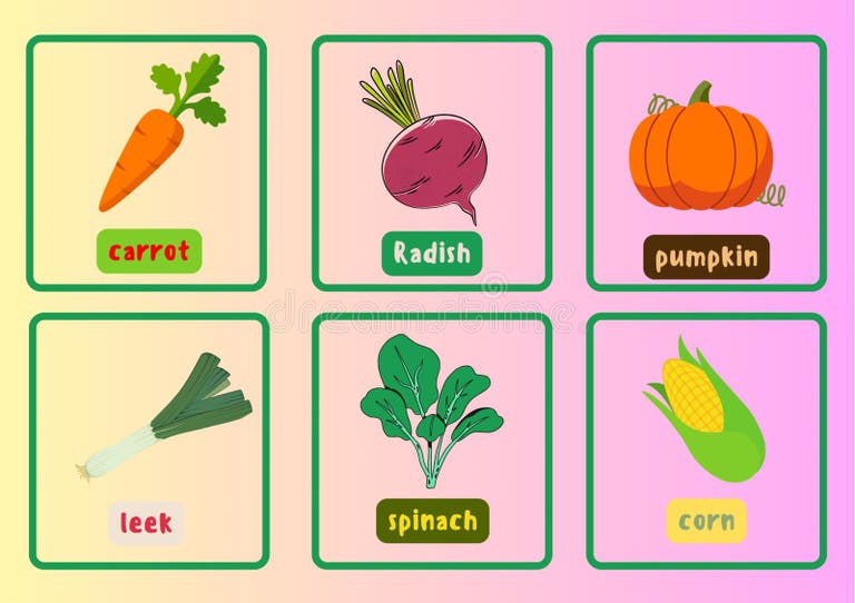 Vegetable Flash Cards Full Size - 2 Stock Photo - Image of vegetables ...