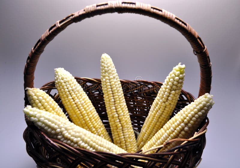 Vegetable Food - Juicy Yellow Corn, Corn Cobs, Grains Stock Photo ...