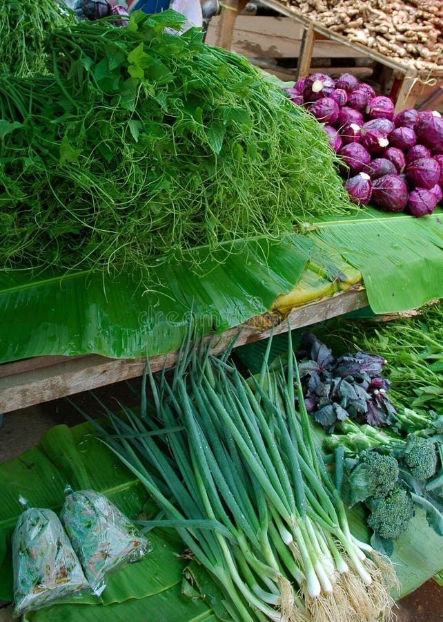 Gord is a Vegetable Much Iron. Stock Image - Image of white ...