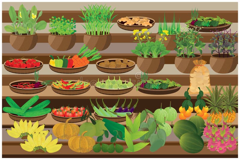Vegetable and Fruit Stall Vector Design Stock Vector - Illustration of ...
