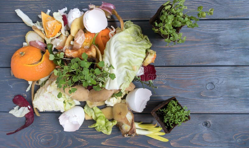 Vegetable and Fruit Waste from Cooking and a Peat Pot with Seedlings ...