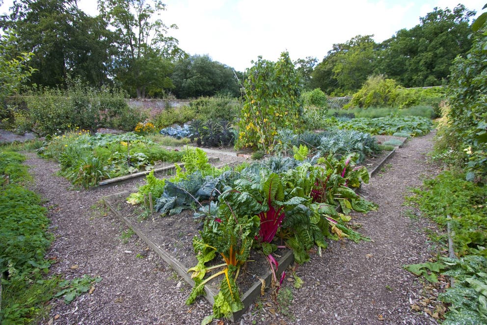 Vegetable garden stock photo. Image of walled, grow, gardening - 10763852