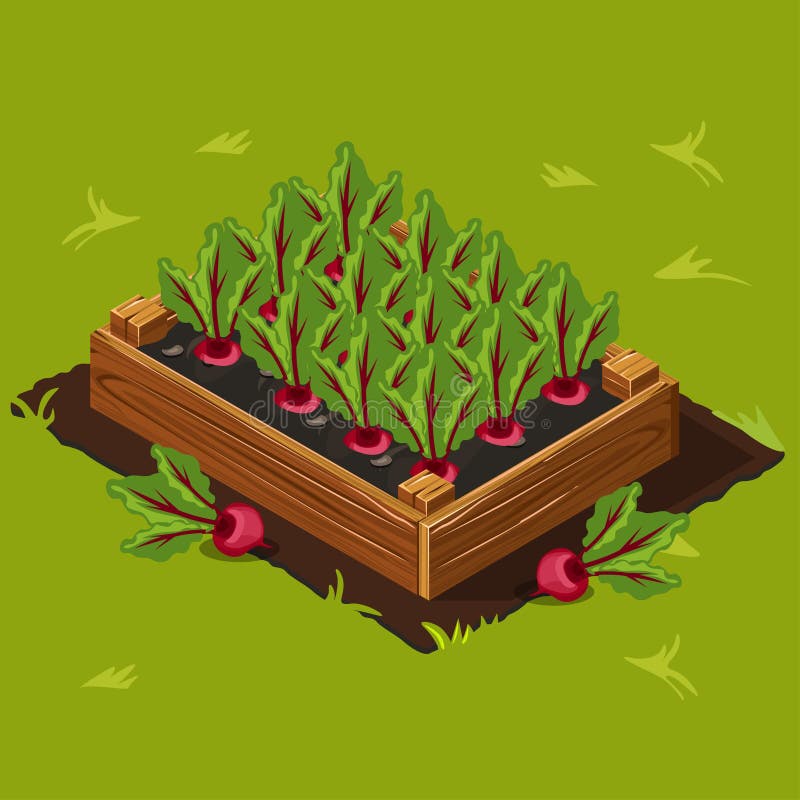 Vegetable Garden Box with Onions Set 11 Stock Vector - Illustration of ...