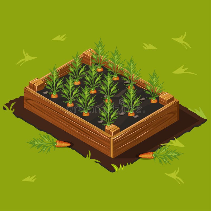 Vegetable Garden Box with Onions Set 11 Stock Vector - Illustration of ...