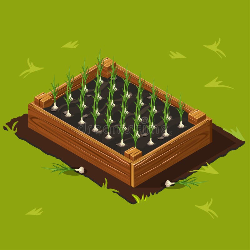 Vegetable Garden Box with Garlic Set 10 Stock Vector - Illustration of ...