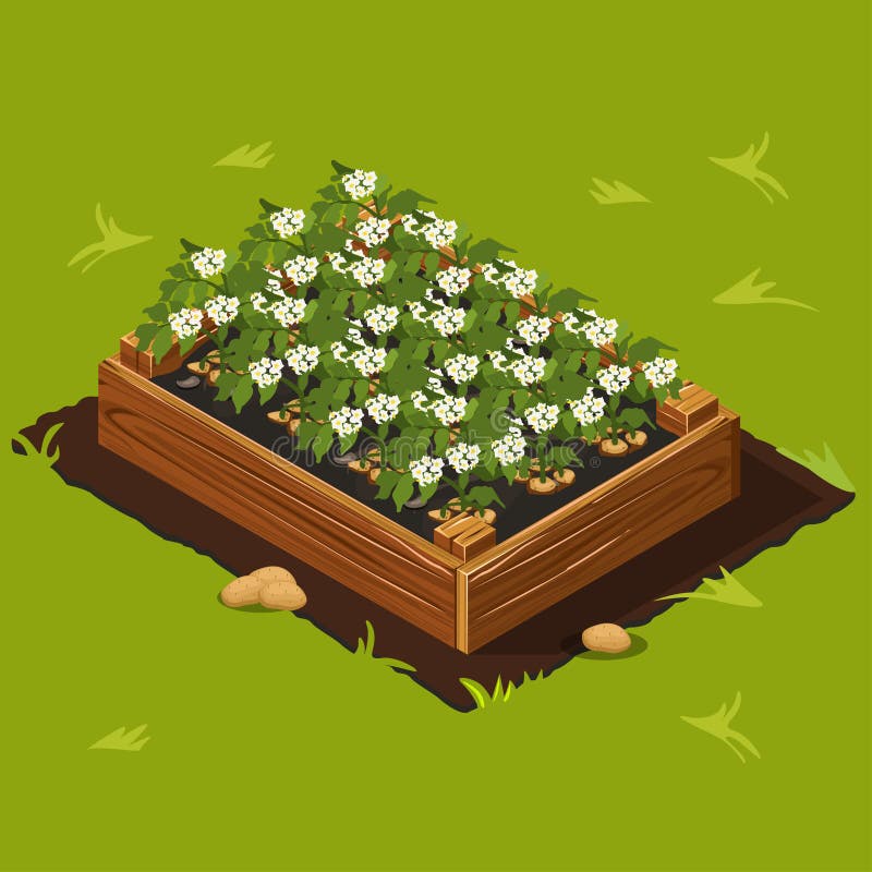 Vegetable Garden Box with Onions Set 11 Stock Vector - Illustration of ...