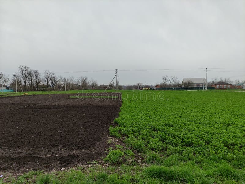 Vegetable Garden in a Countryside Stock Photo - Image of food ...