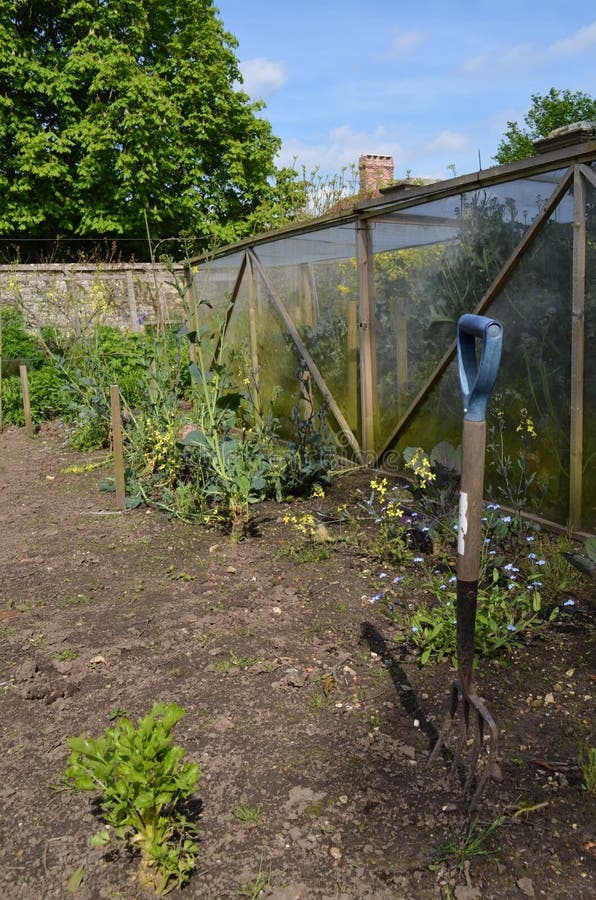 Vegetable garden. stock image. Image of patch, garden - 40399683