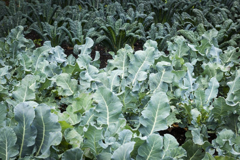 Elena Elisseeva (Elenathewise) - Photographer profile