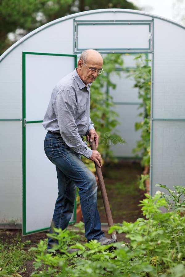 Gardening man stock image. Image of green, growing, asia - 4947255