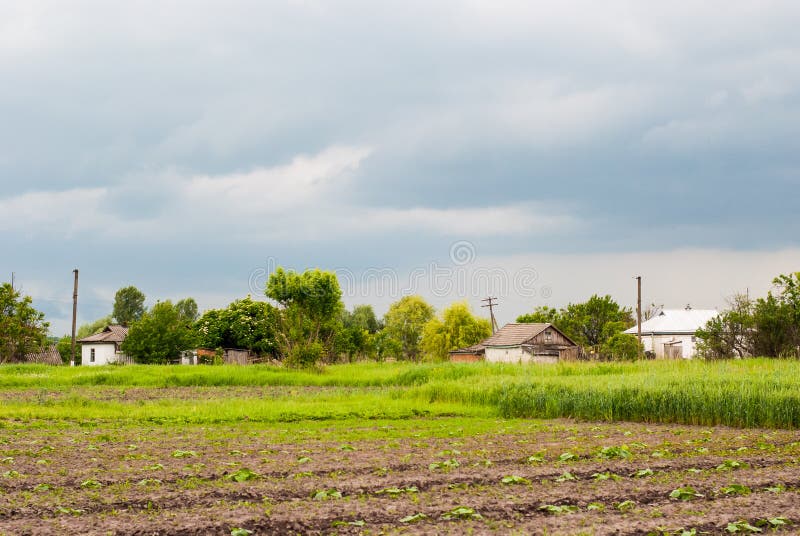 Vegetable Garden in the Village Stock Photo - Image of park ...