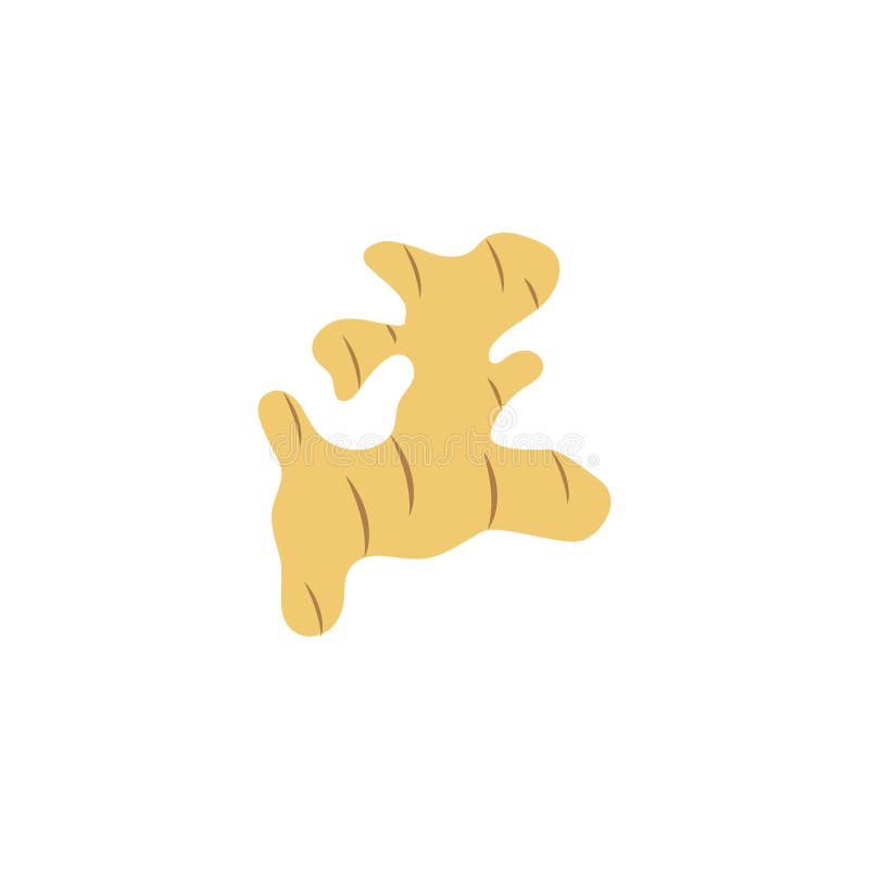 Vegetable Ginger Flat Style Icon Stock Vector - Illustration of vegan ...