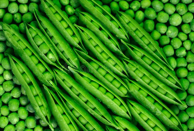 Green peas in open peapod stock photo. Image of peapod - 348651998