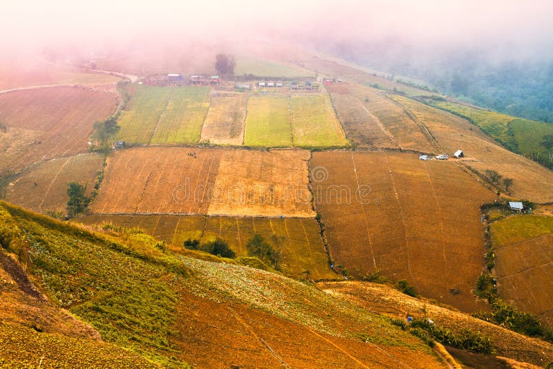 Vegetable Growers in the Valley Stock Photo - Image of county, soil ...
