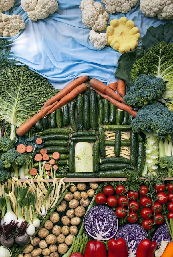 Vegetable house stock image. Image of assortment, health - 44795993