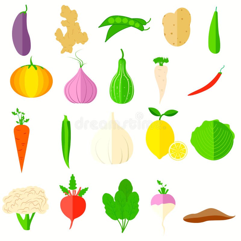 Vegetable Icon stock vector. Illustration of ginger, food - 40731217