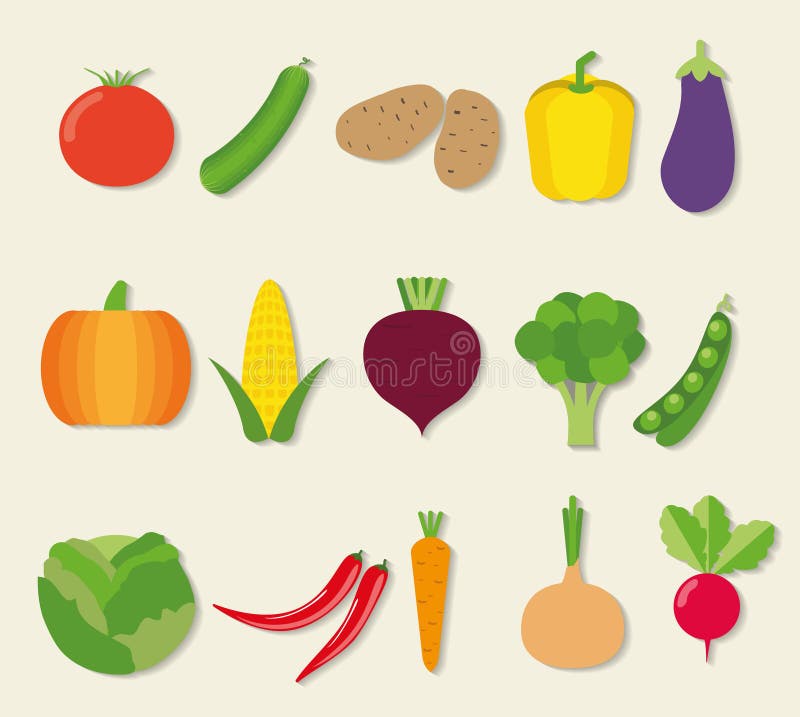 Vegetable Icon Set. the Image of Vegetables Symbol Stock Vector ...