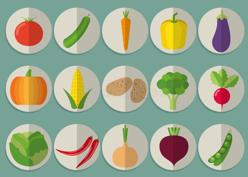 Vegetable Icon Set. the Image of Vegetables Symbol Stock Vector ...