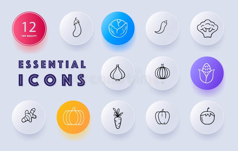 Vegetable Icon Set. a Visual Representation of Various Edible Plants ...