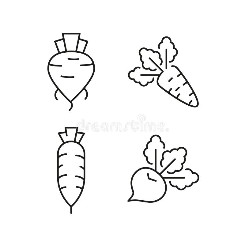 Vegetable Icons Set stock vector. Illustration of icons - 362570766