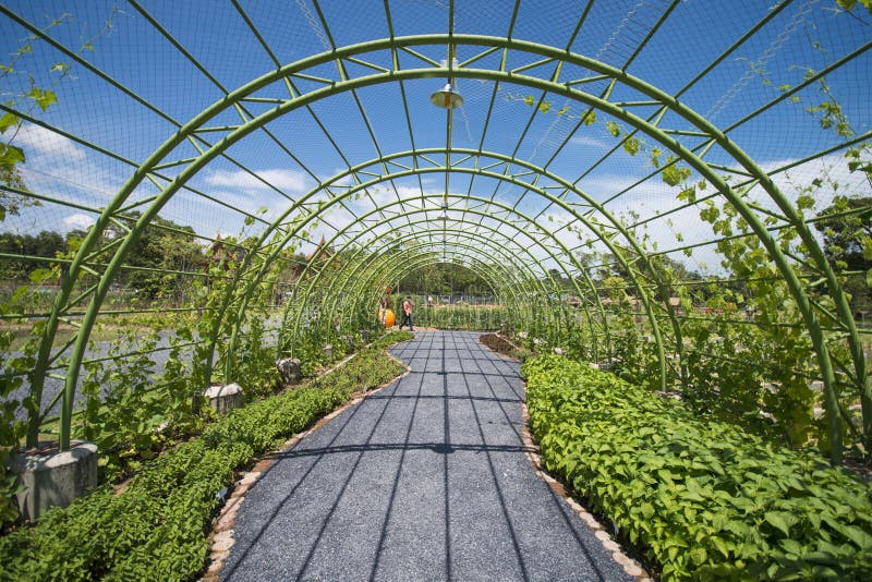 Vegetable Kiosks in the Garden Stock Image - Image of nature, harvest ...