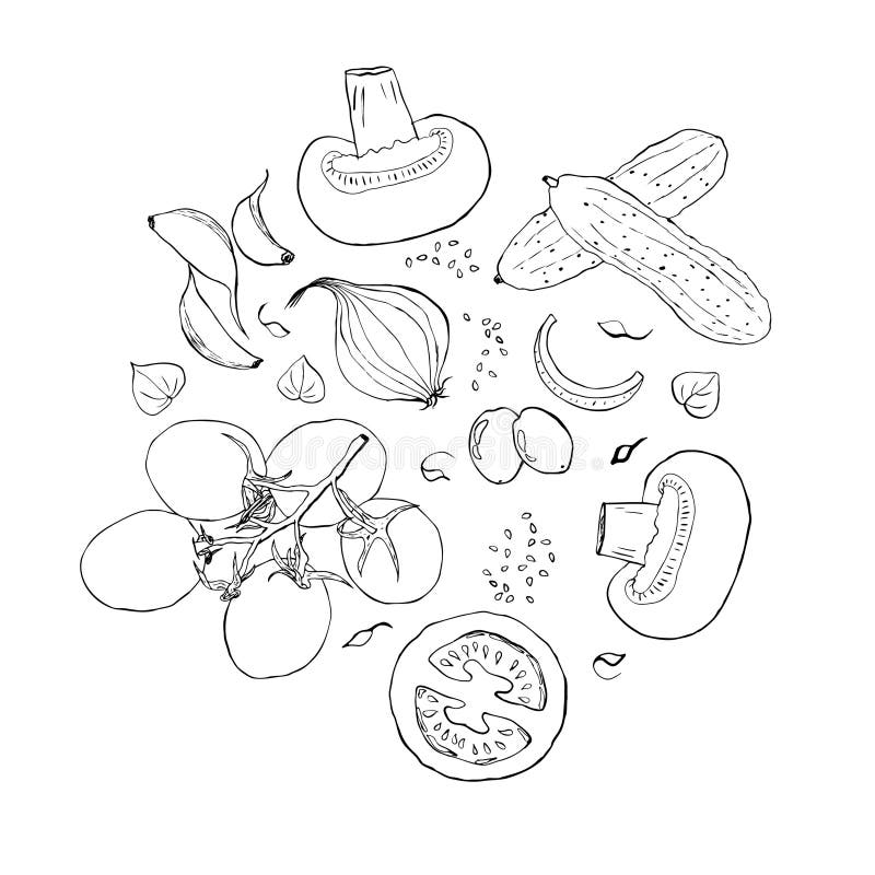 Vegetable Line Art Sketch Clipart Circle Composition Stock Vector ...