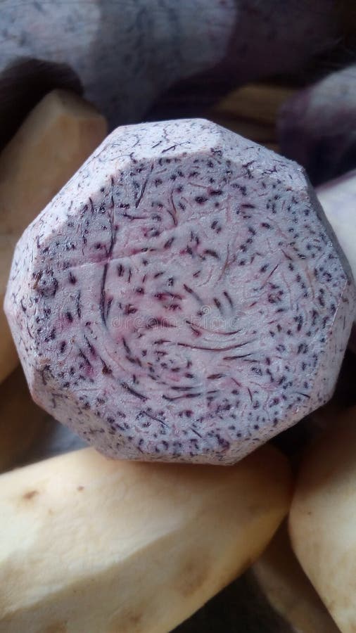 Gabi stock image. Image of gabi, lots, vegetable, healthy - 113599209